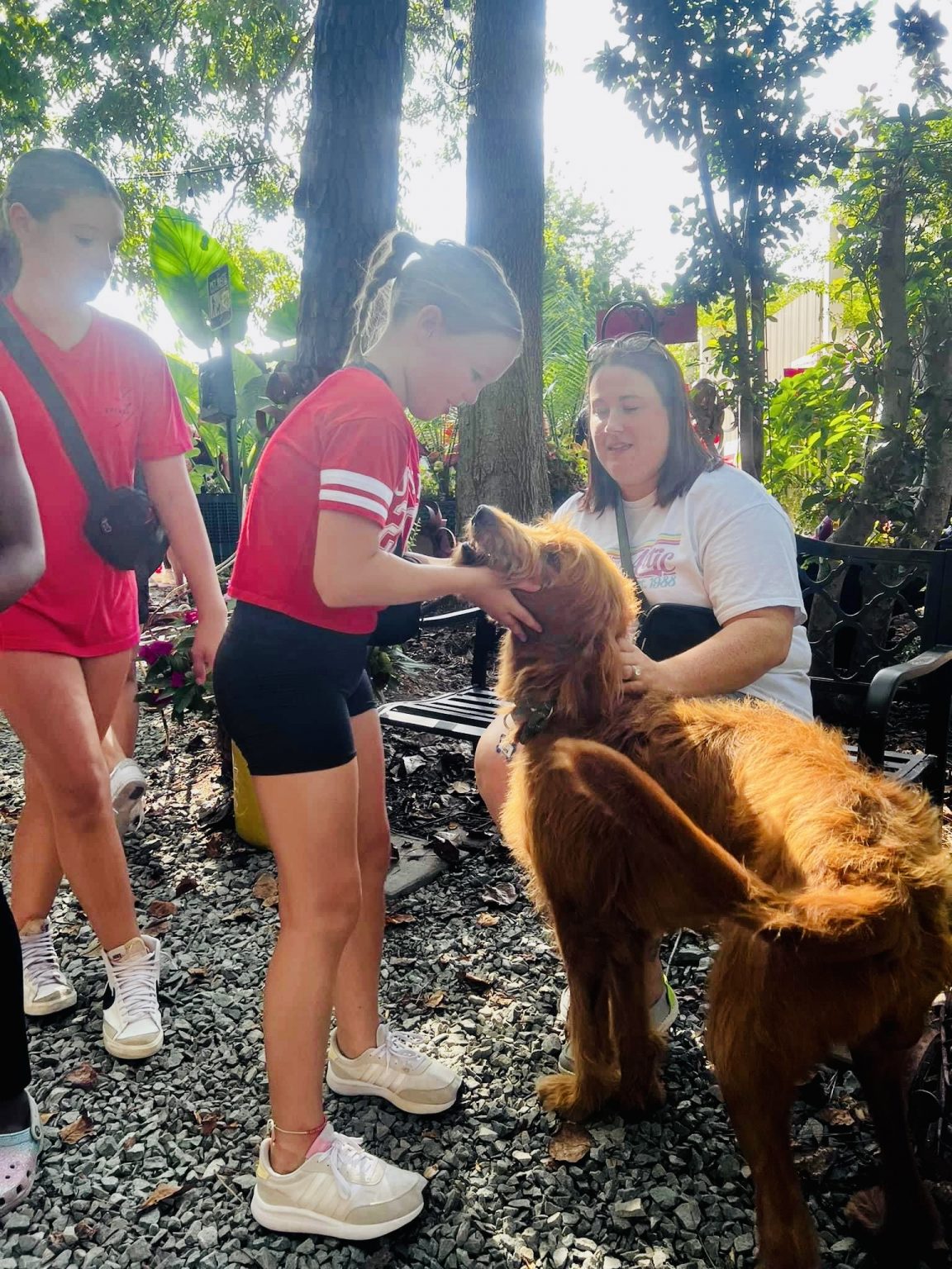 The Dance Attic | The Premier Wake Forest Dance Studio, Wake Forest, NC ...